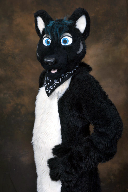 Lace Fursuit by Lace