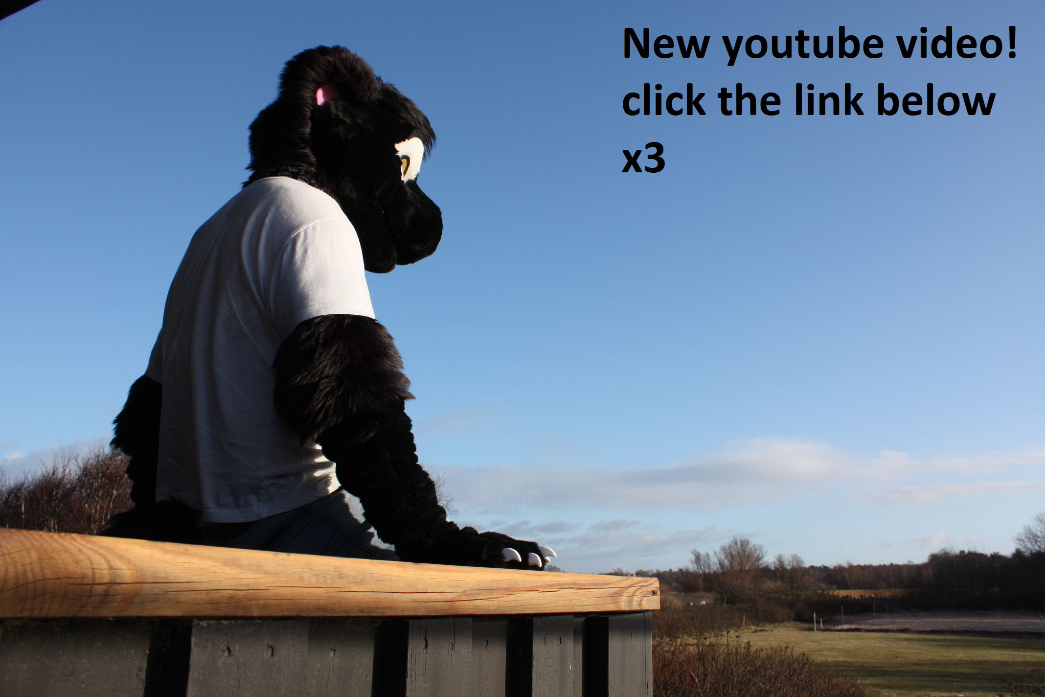 Fursuit video: Showing of Shadow! by TSOL
