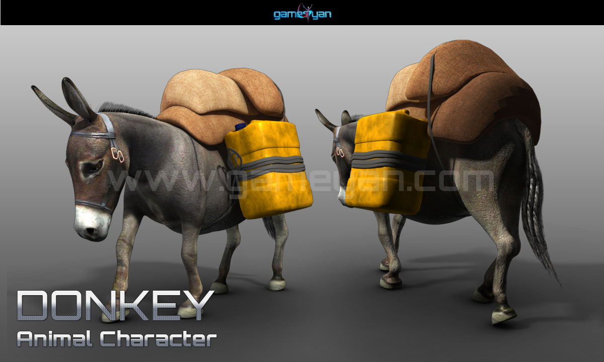 Donkey Quadruped Character Animation by gameyan