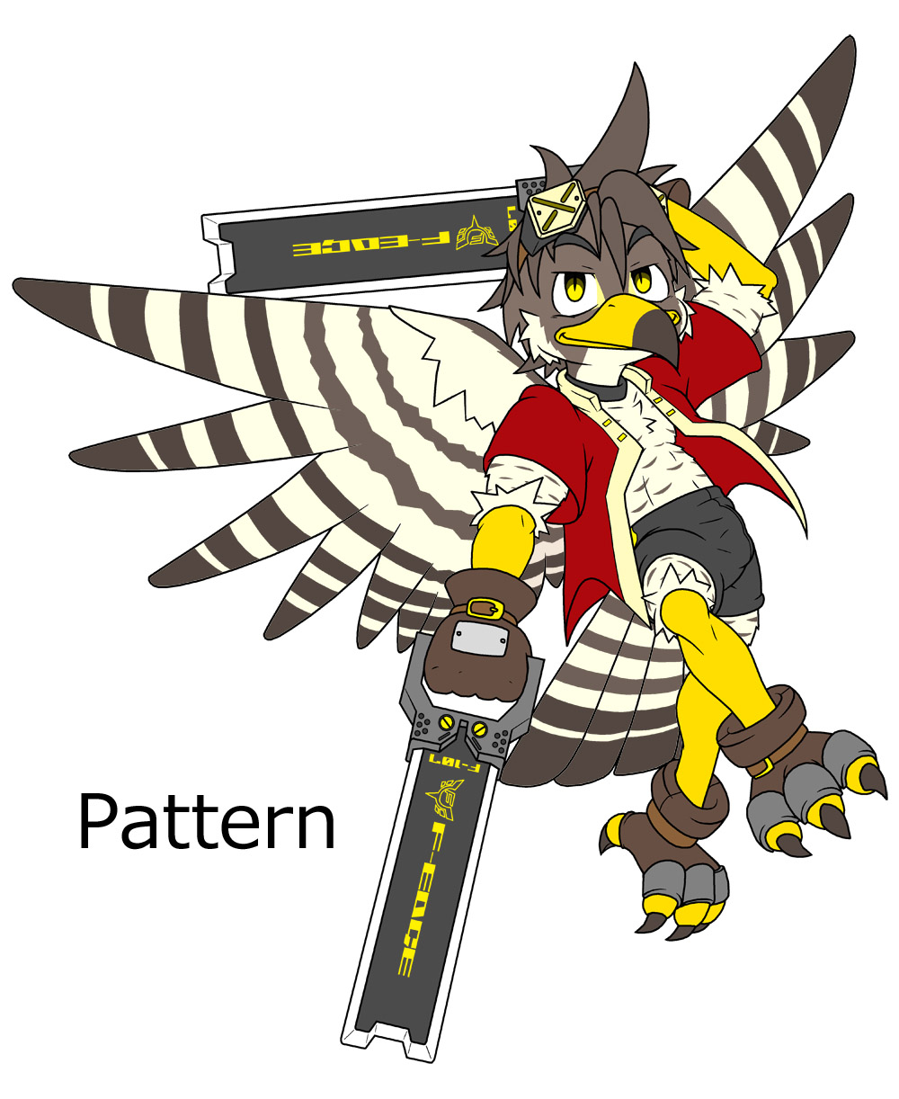 SWORD THE FALCON by NKYN