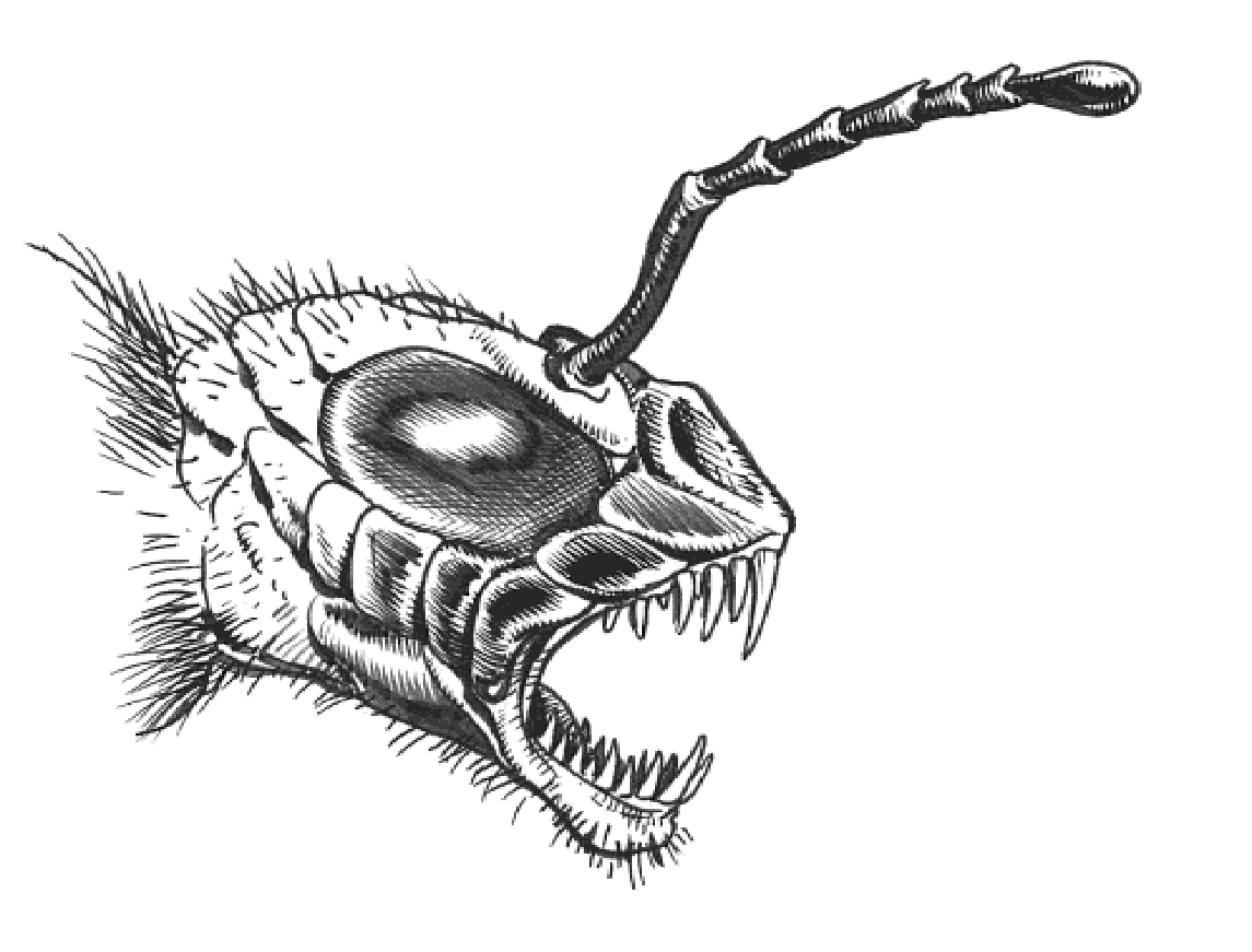 Blood Jacket Head And Teeth by faithslayer202