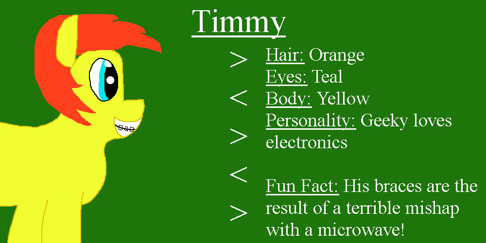 My OC Pony Timmy Bio by MasterMarik