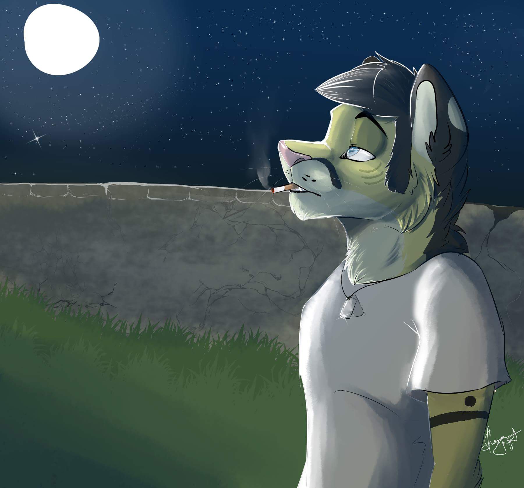 Echoes of War by XanderGreene