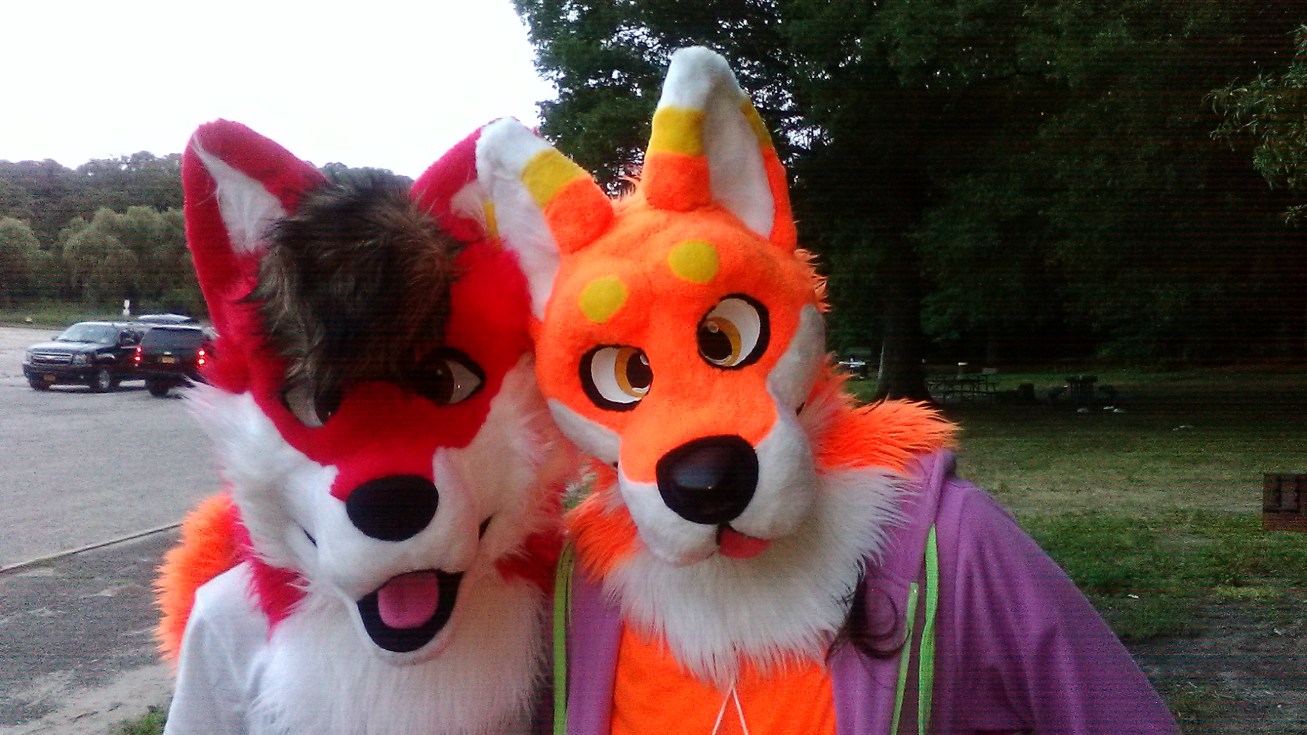Candy Corn Fox Aeve by RollerCoasterViper59