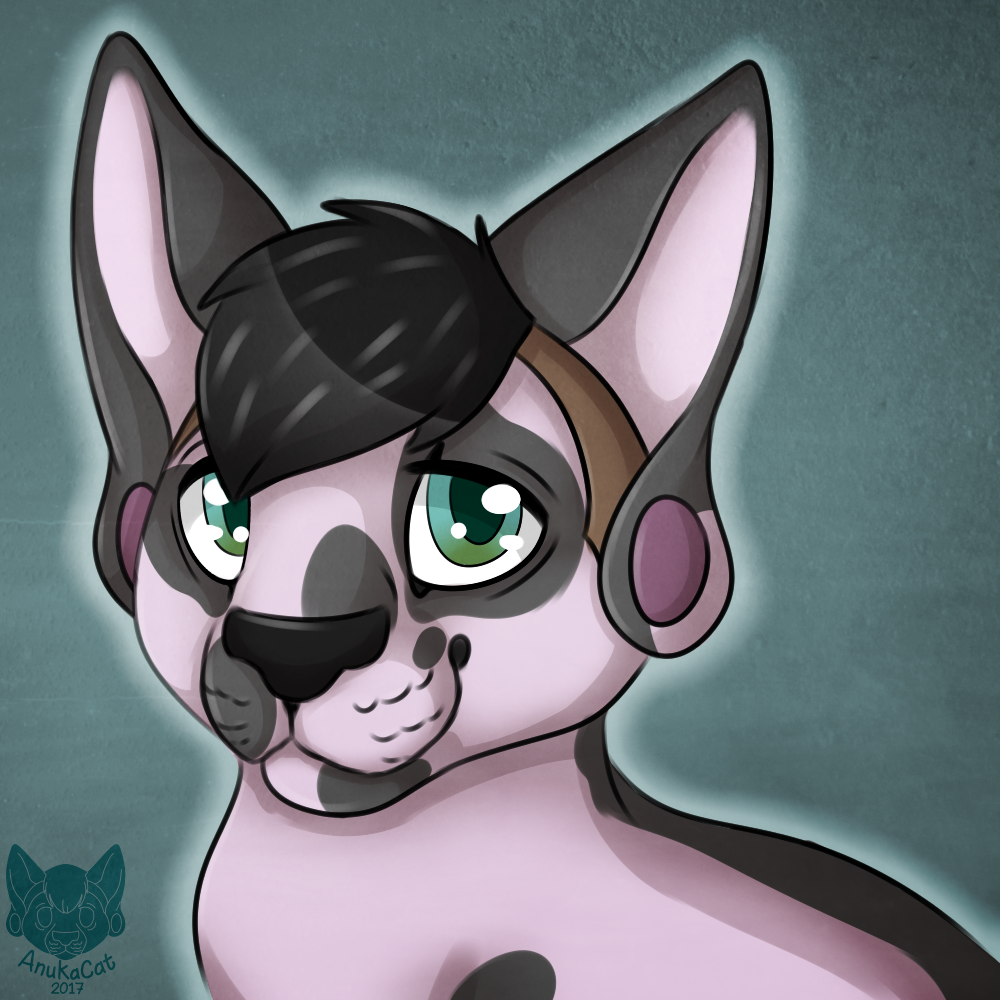 That Hairless Cat By Anukacat