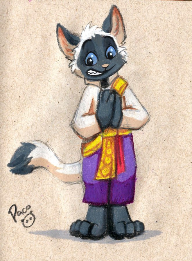 Sawatdee khrap by Paco Panda by dahan