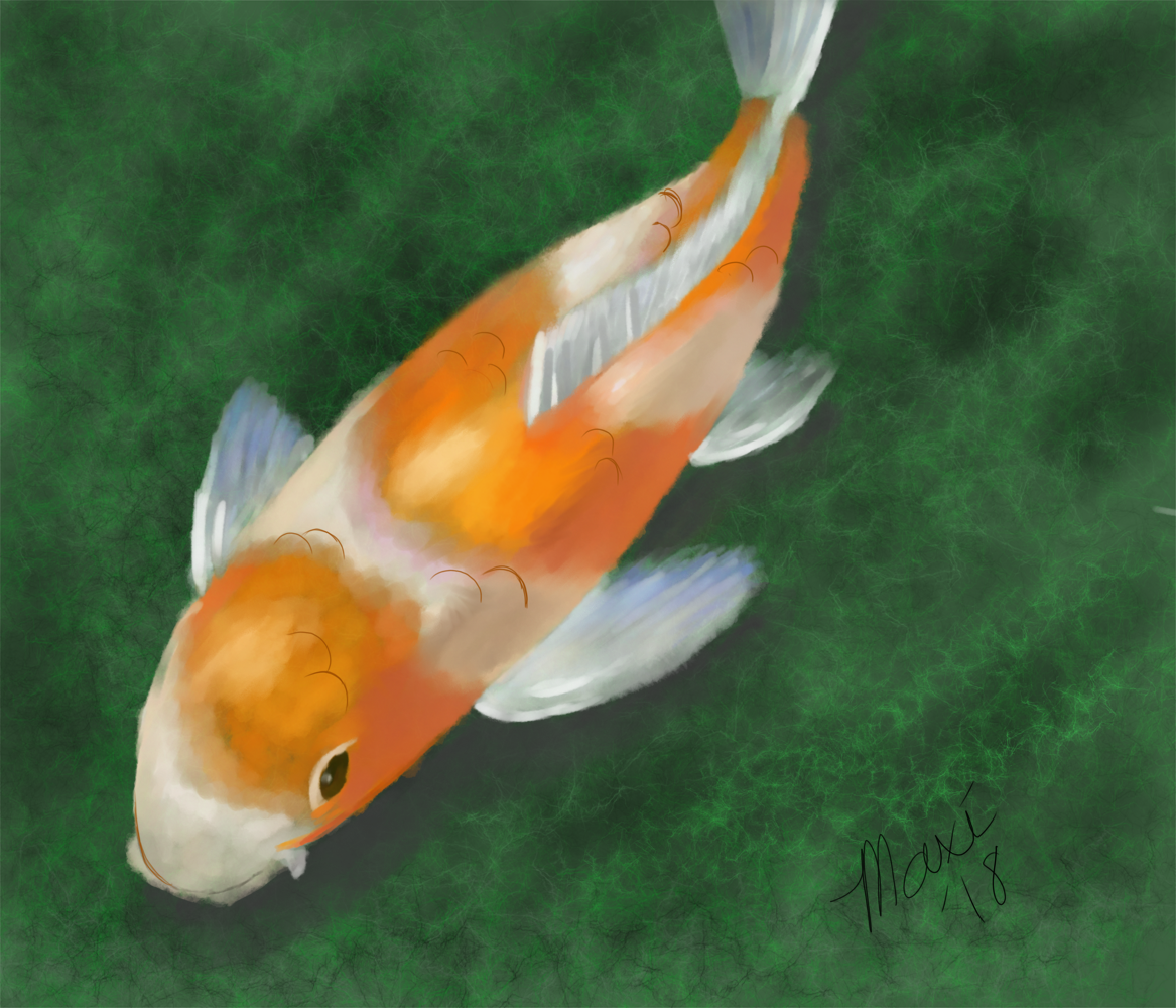 Koi Pond by Maxicoon