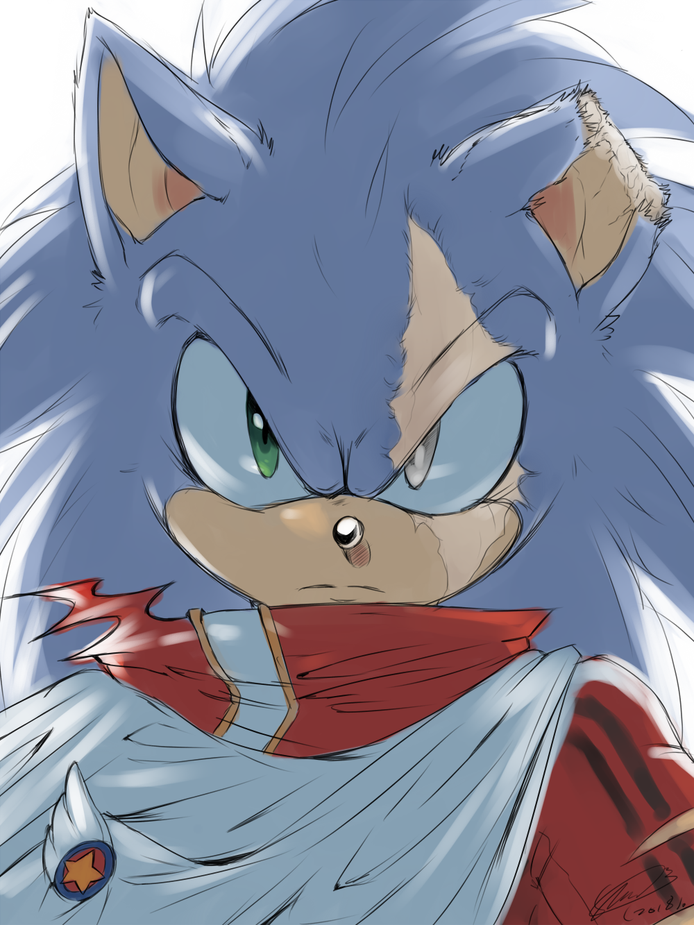 Future sonic by soina