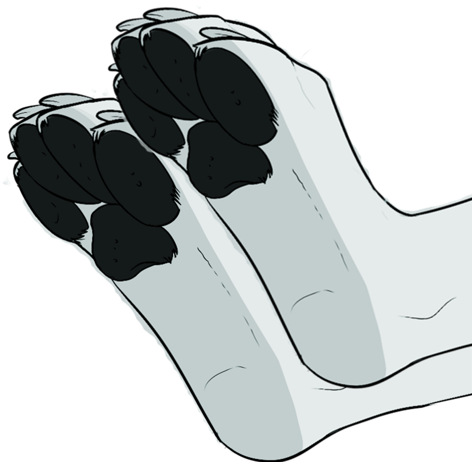 Paws by BradSnoopy97