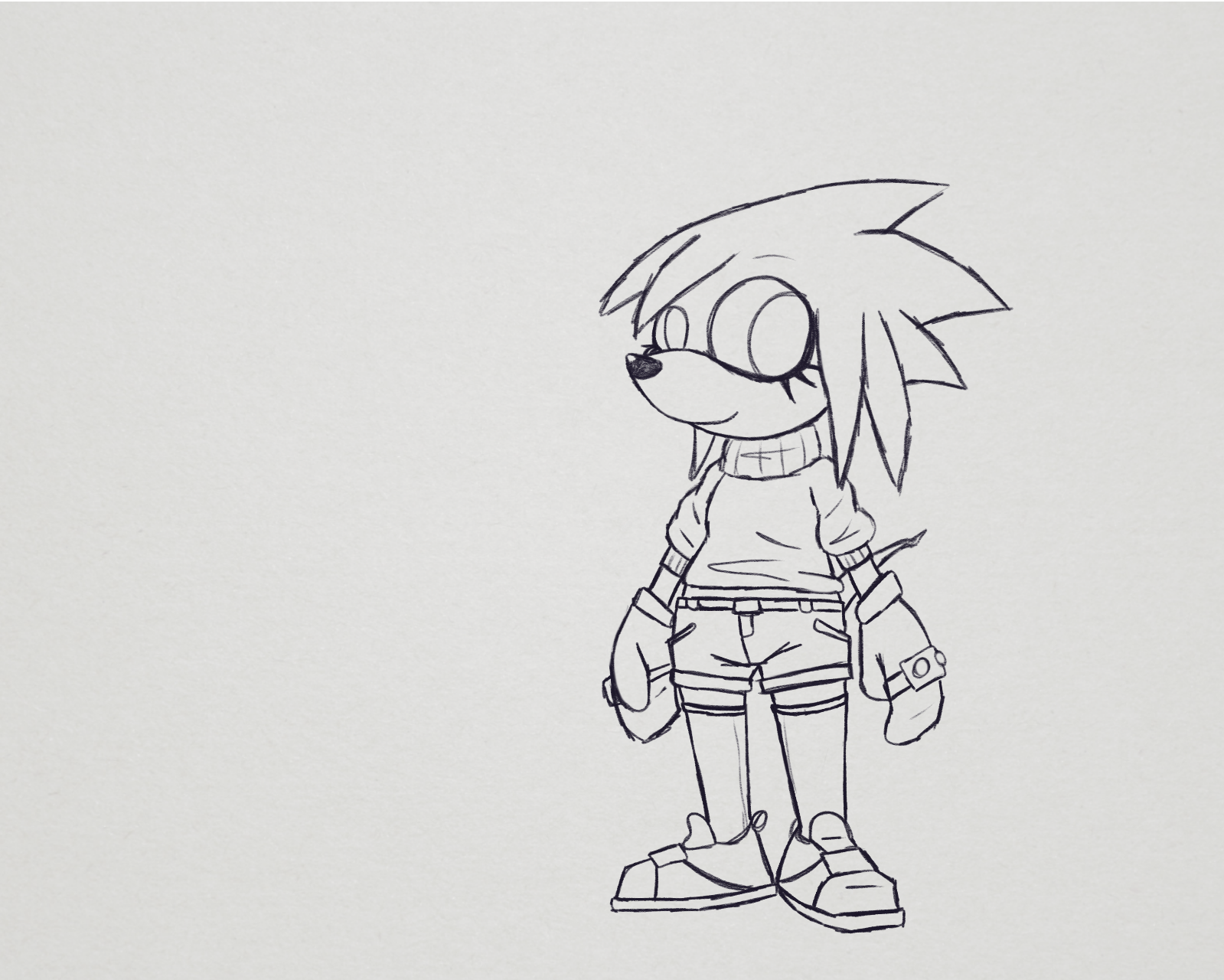 duster the echidna by Knullox