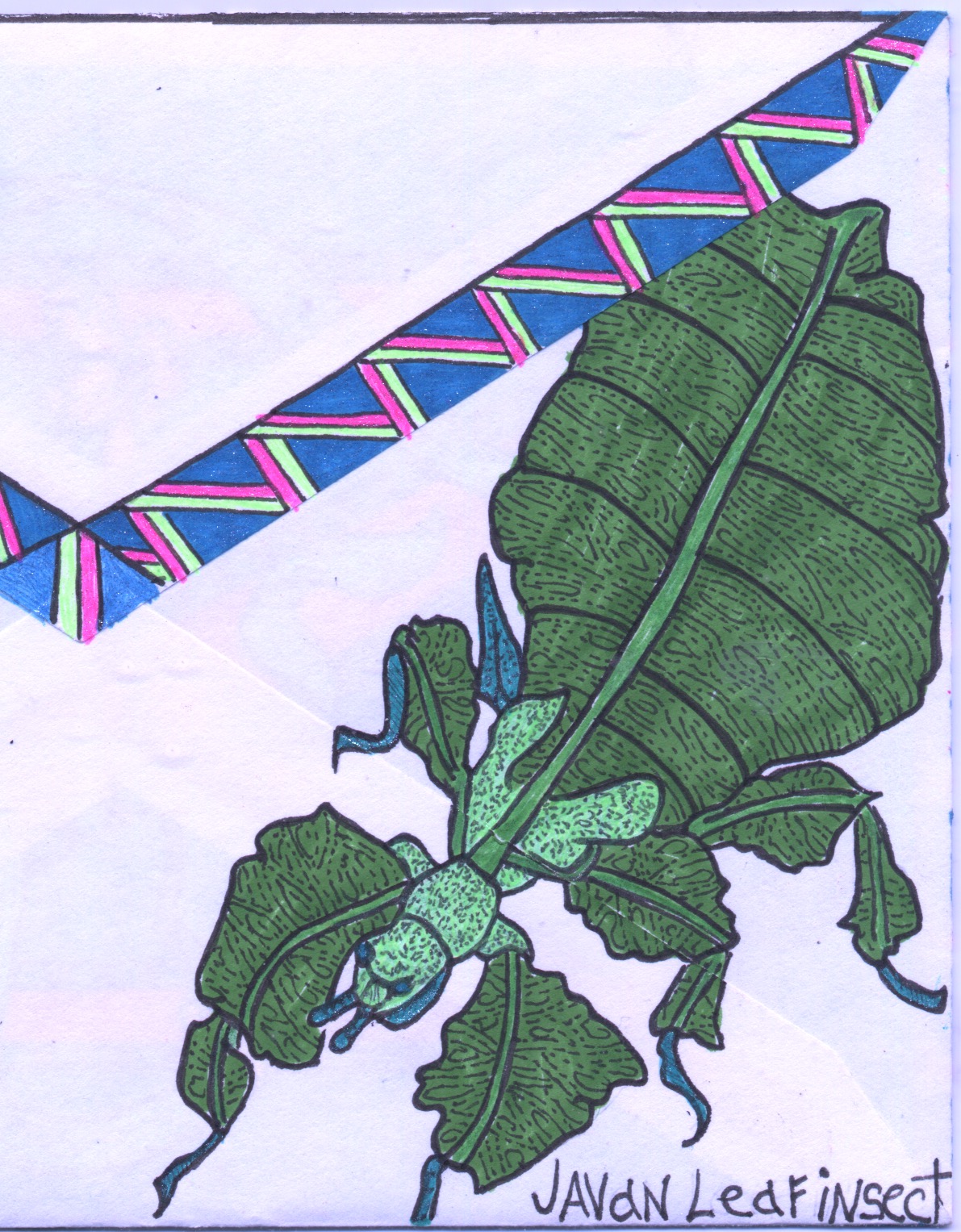 MOM'S ART: Leaf Insect by IceAgeChippies