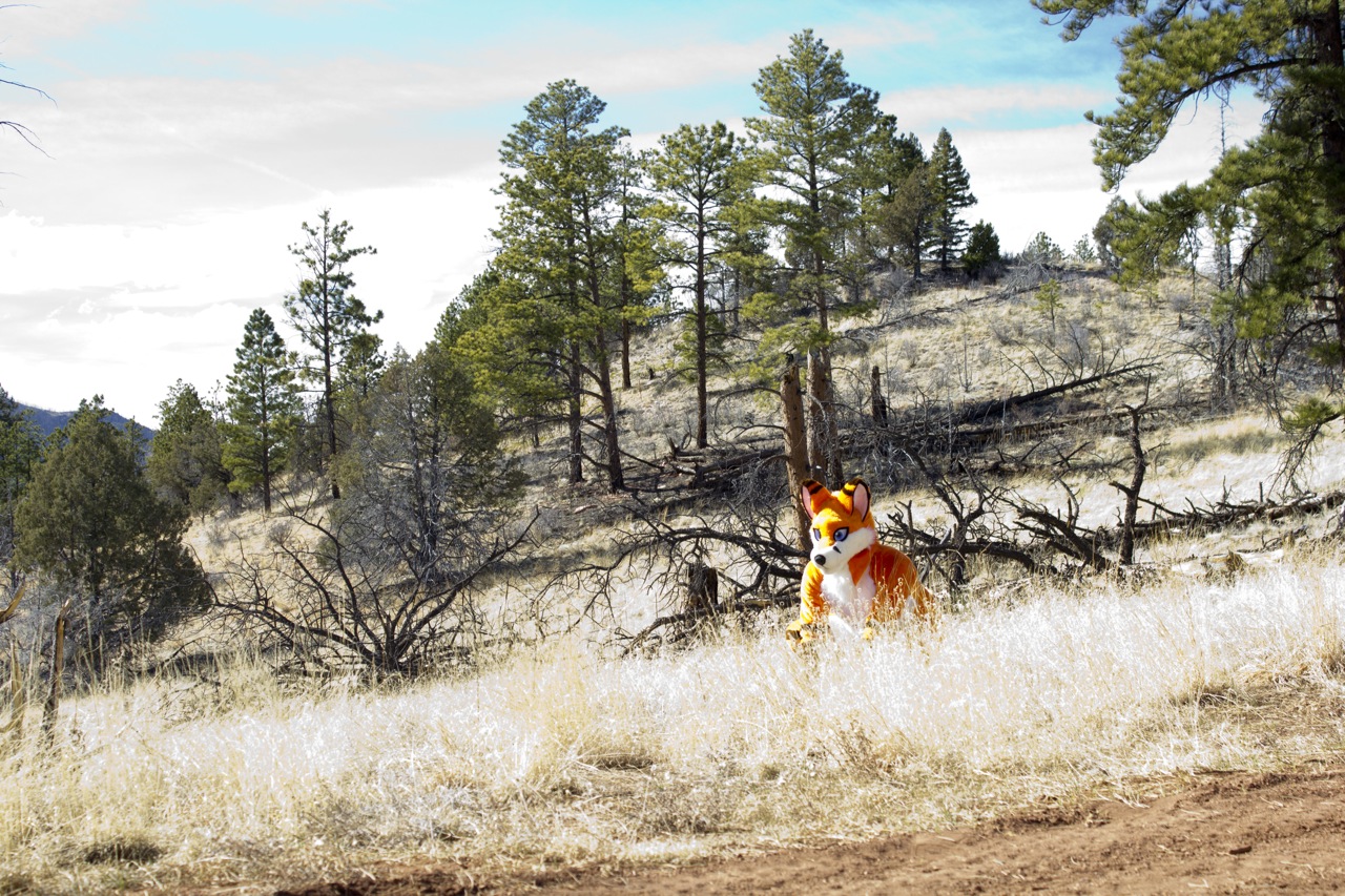 Untamed World by Blitzkriegfox