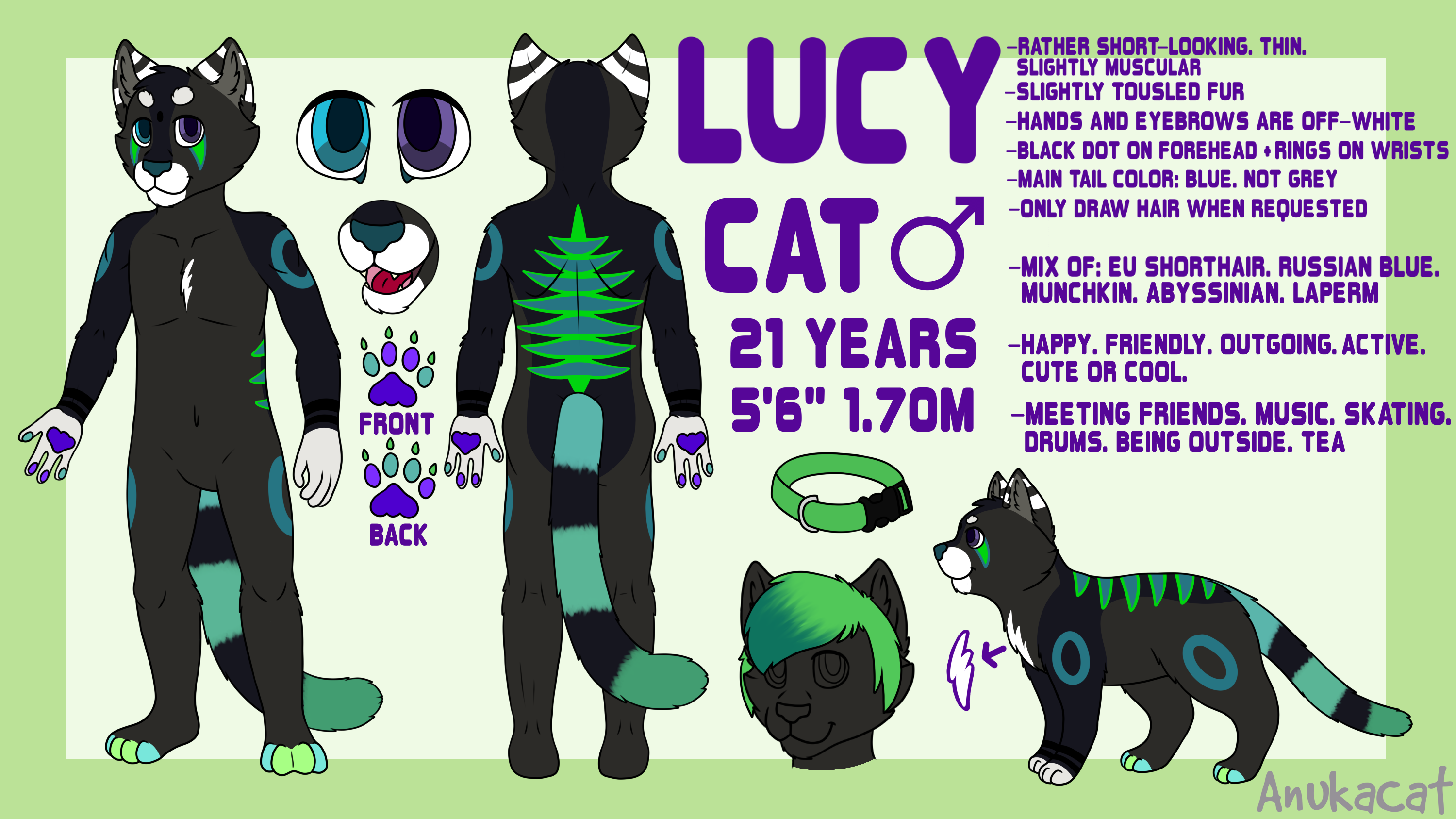 .: Lucy Reference Sheet 2019 :. by AnukaCat