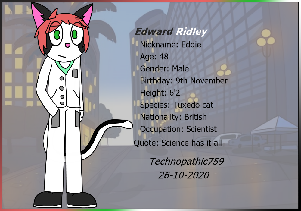 Character cards by Netherkitty