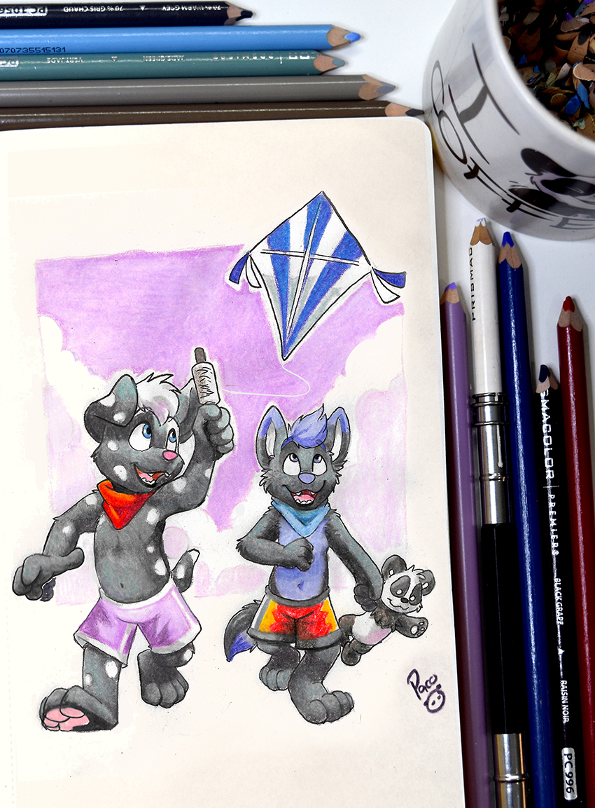 Kite Flying by pandapaco