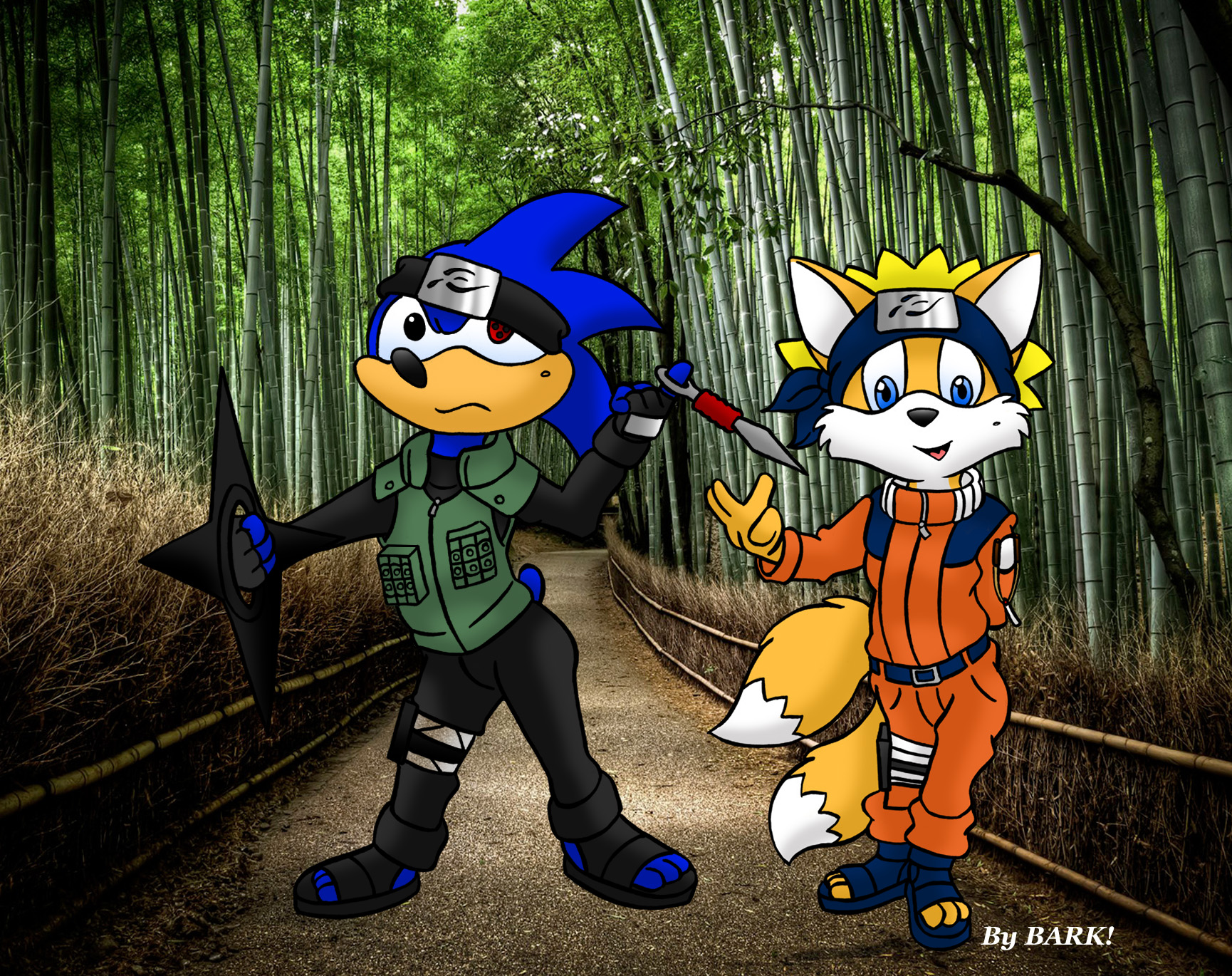 Sonic and Tails Shinobi by BARK