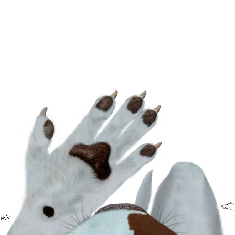 Old first person view tf by Mearcu