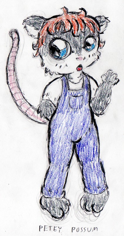 Furfriend Reference: Possums by PrinceKaro