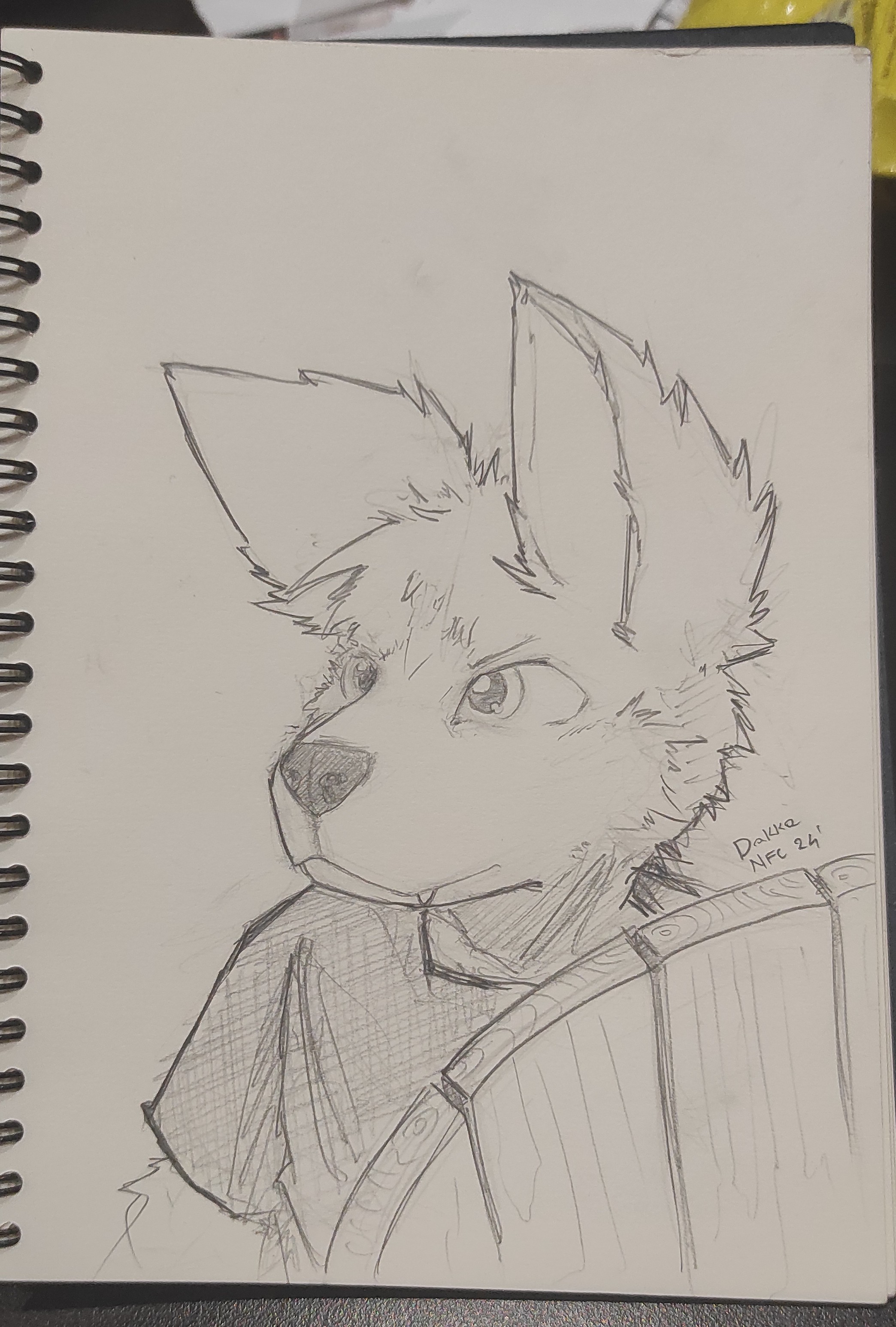 NFC 2024 sketches by DakkaWoof