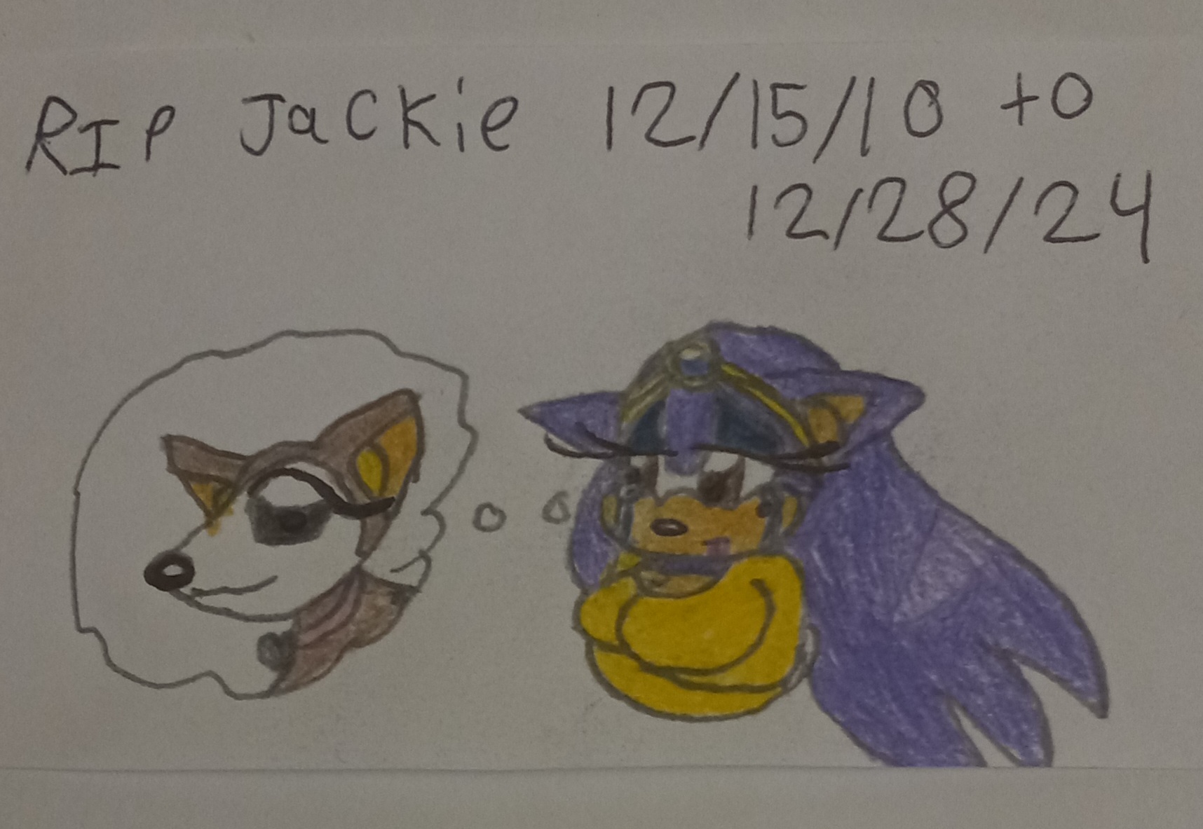 RIP Jackie by PrincessShannon