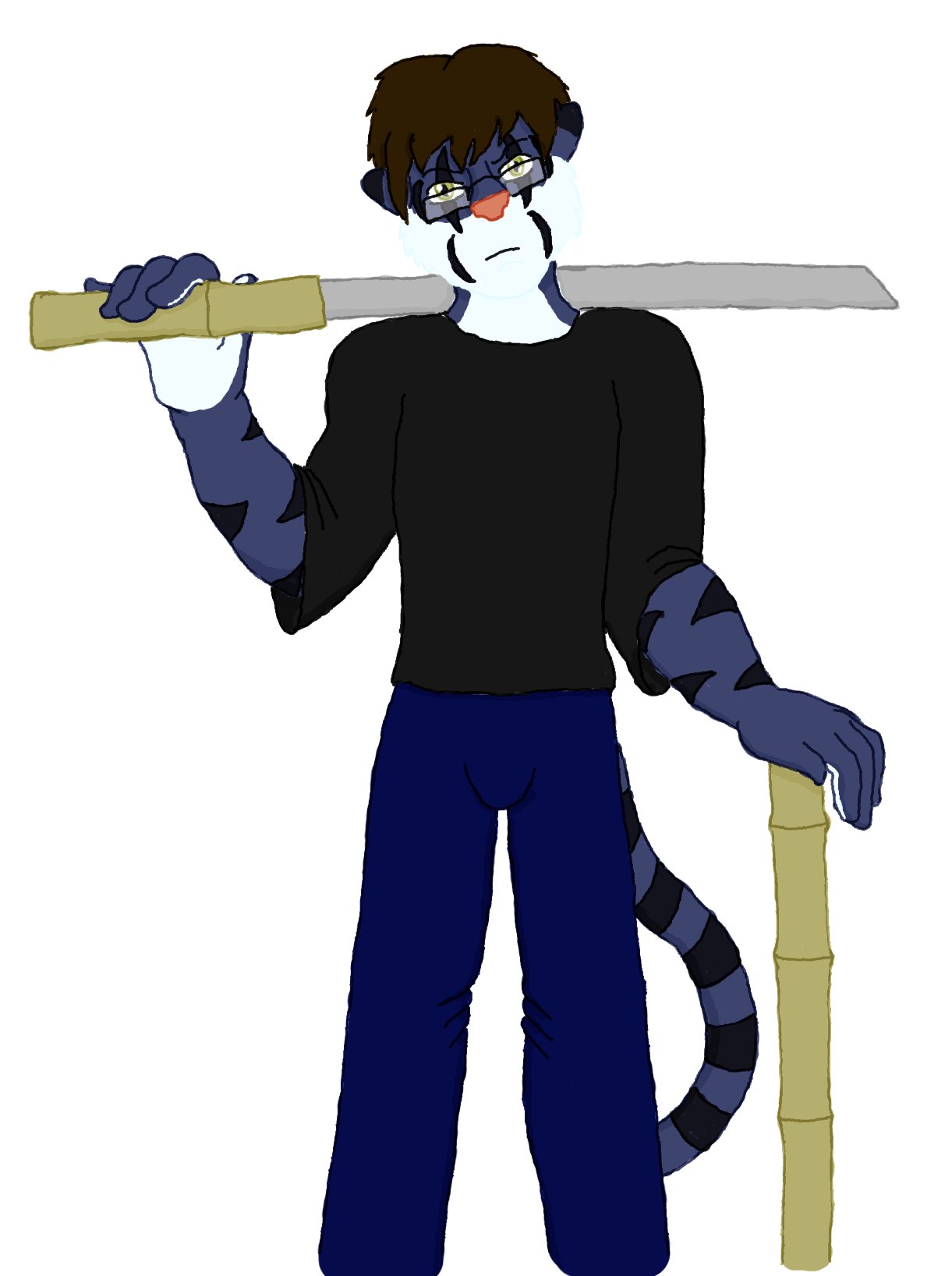 Swords & Stripes by DNLtiger04