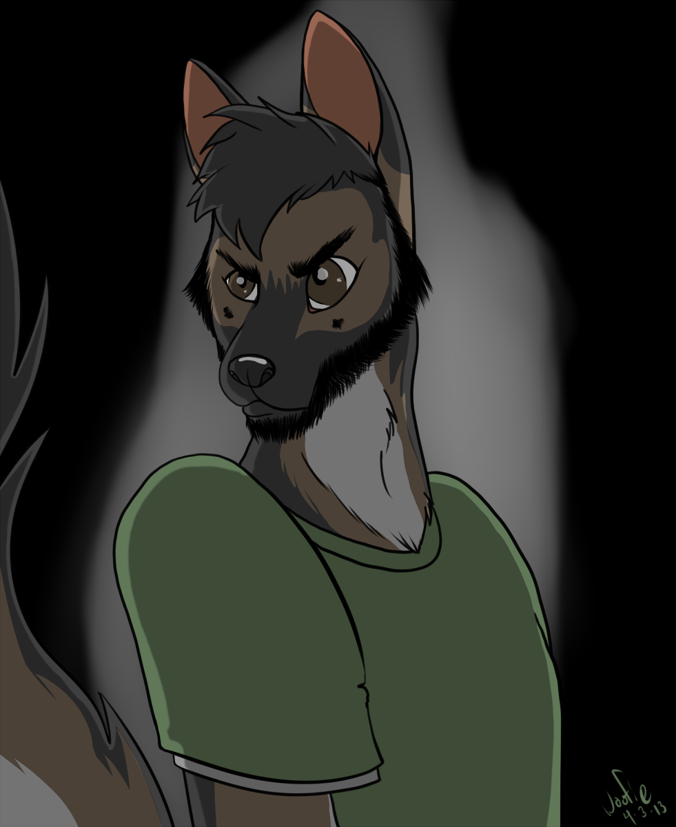 Backlit by WoofieBrisbane