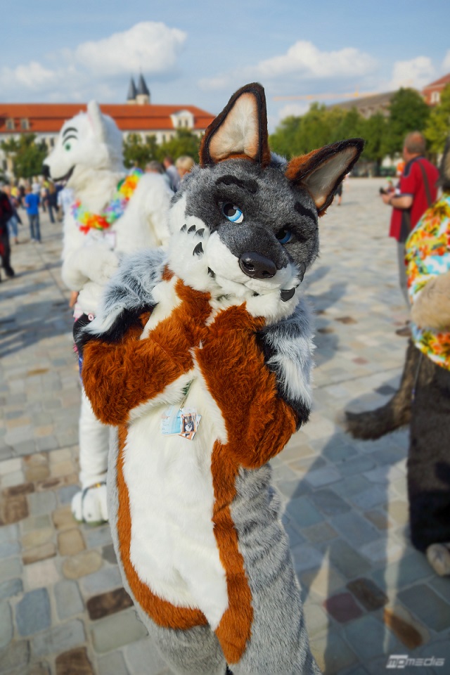 Fursuit parade pose. by RepoFox