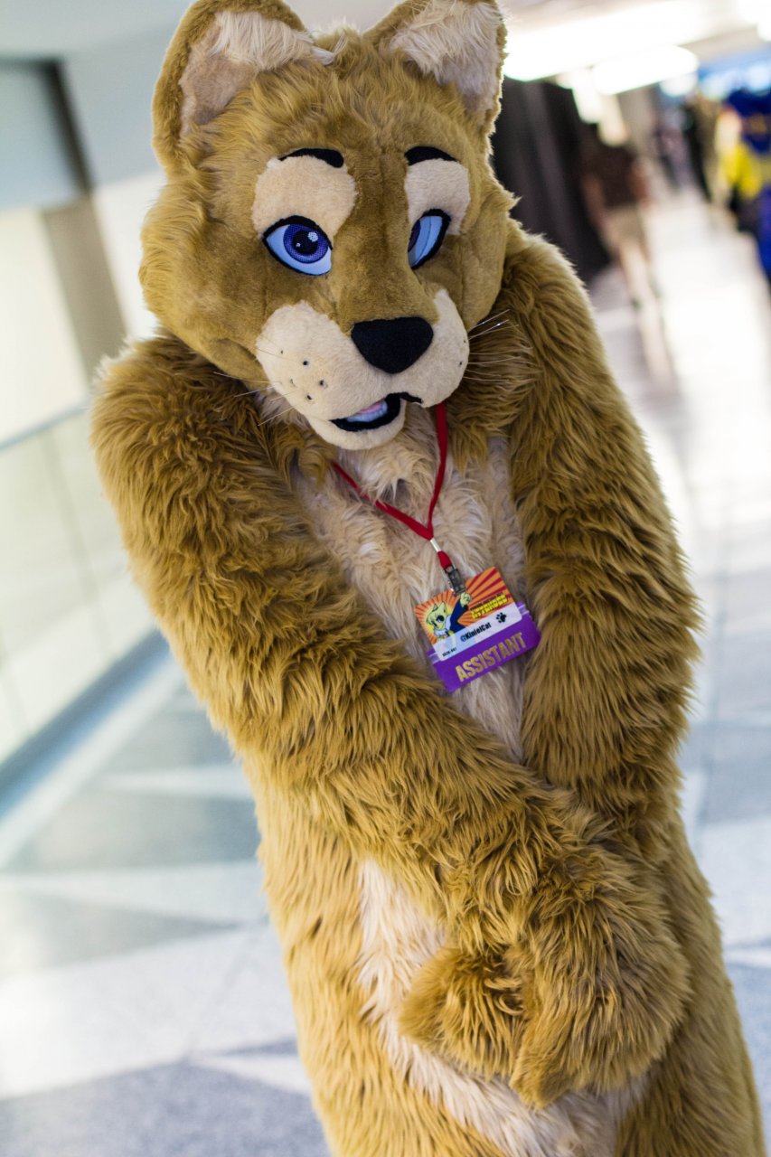 Kiniel Fursuit at FC2014 by KinielCat