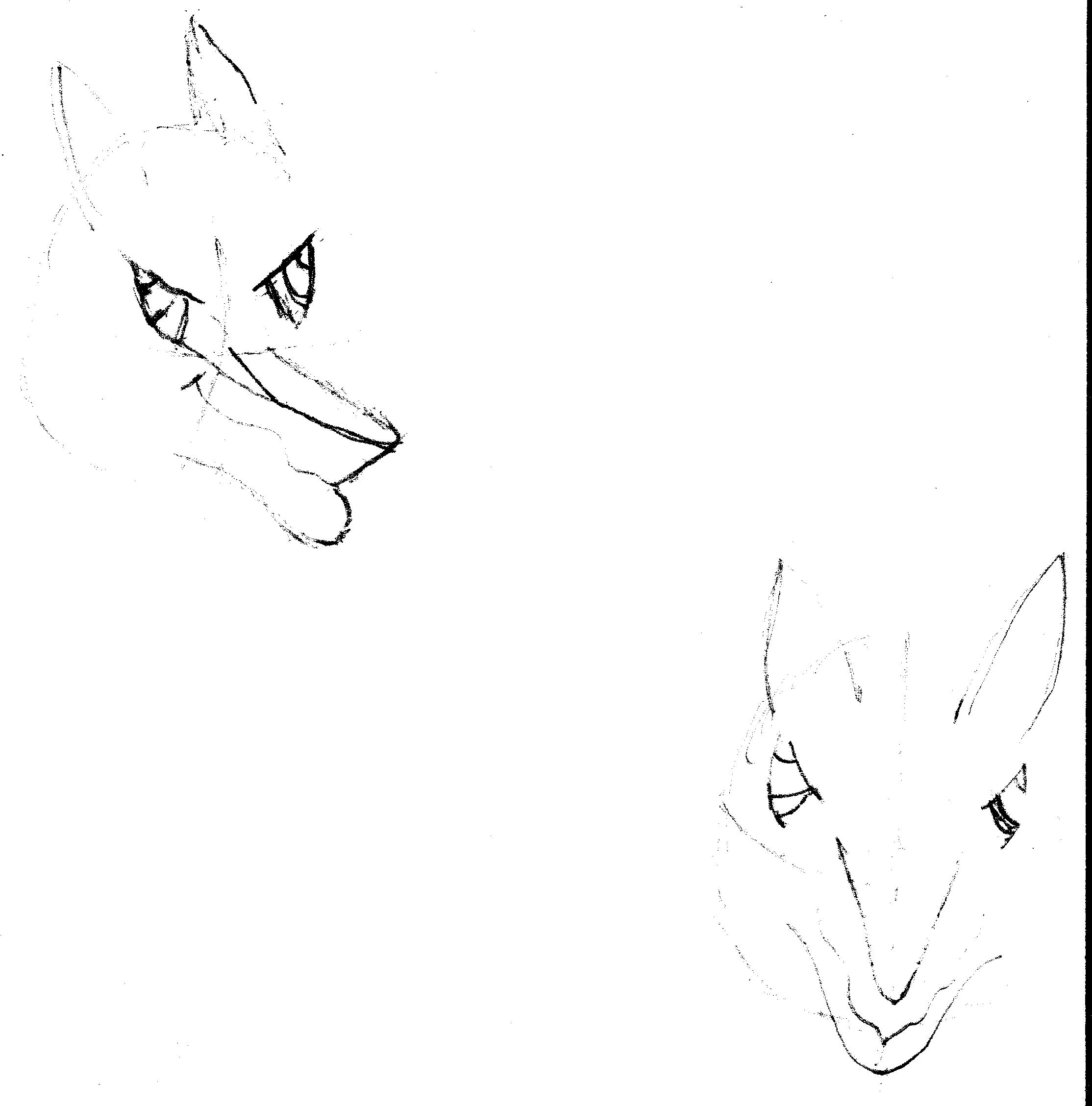 Sergal Head - Rough Sketch by Otlan