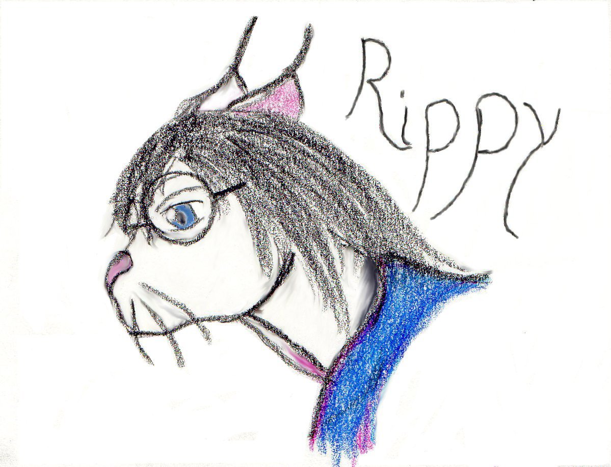 Rippy Name Tag by RippytheNekomatta