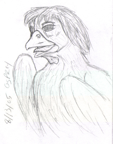 OG-Chicken-tf by Osprey