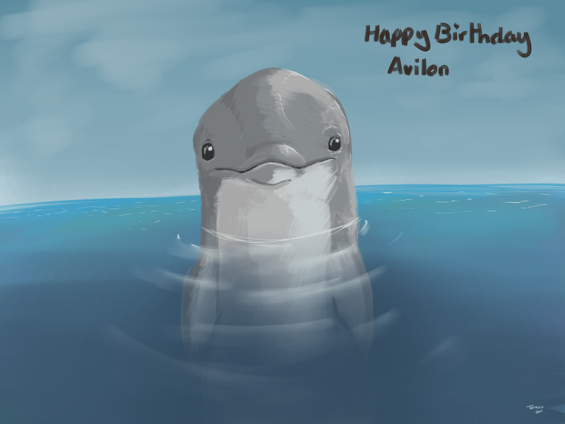 Avilon's birthday by Tereus
