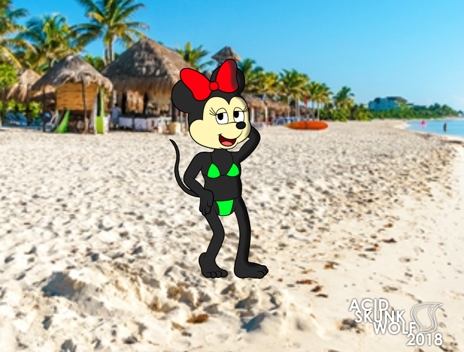 Minnie at beach by AcidSkunkWolf