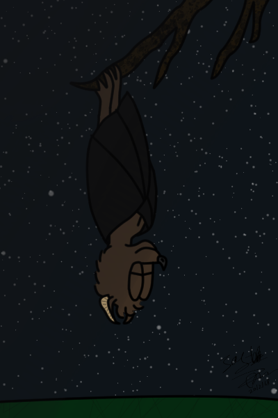 Sleepy -_-Zzz by Jaylel