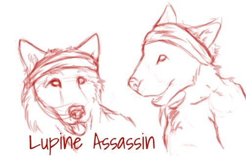 Wolf Sketches by LupineAssassin