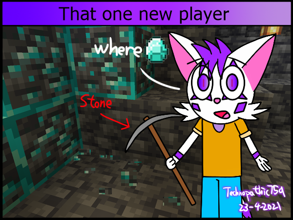 Type of MC players by Netherkitty