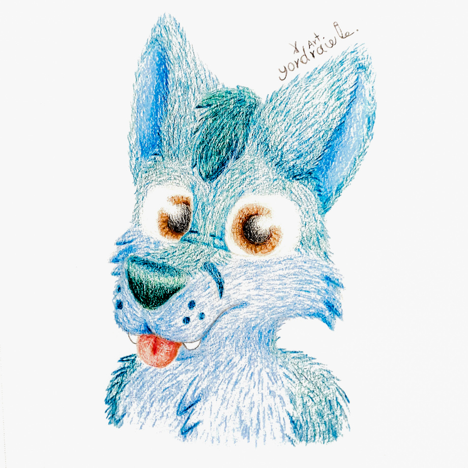 Antony fox by Yordraw