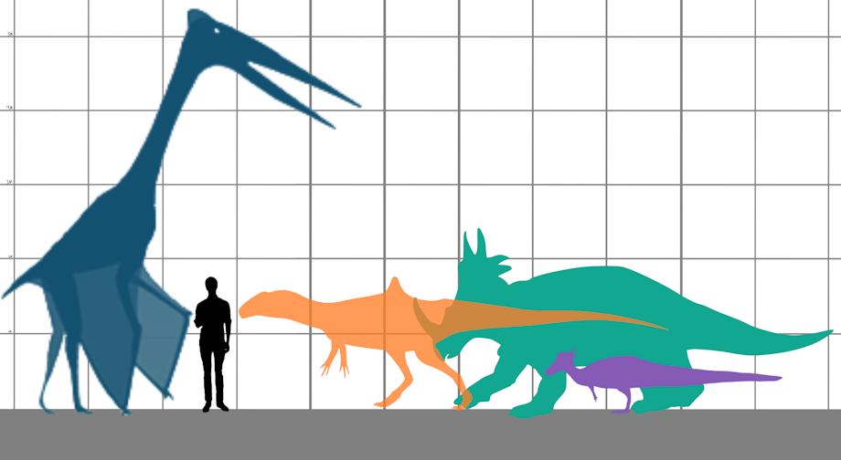 Size Chart by Tahla