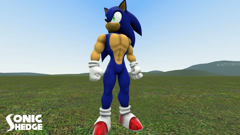 Various Sonic Pose Remakes - 2021 by StoneHedgeART