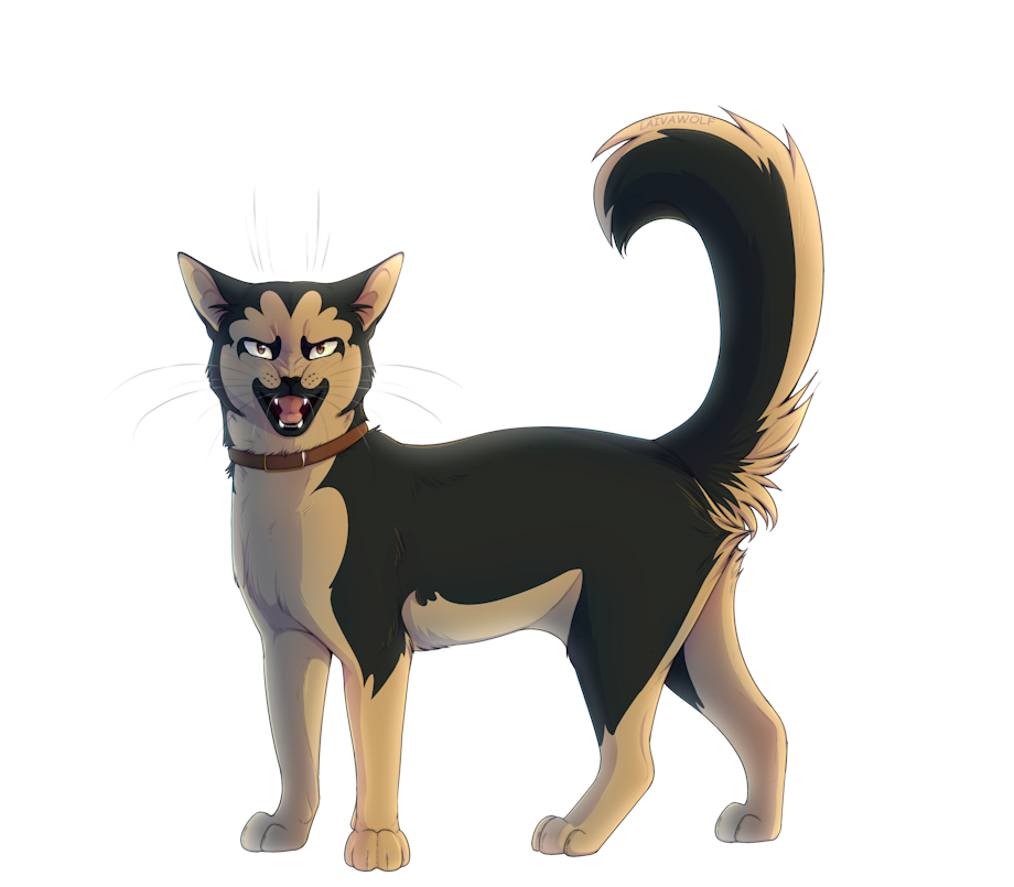 GNG: John the cat by LaivaWolf