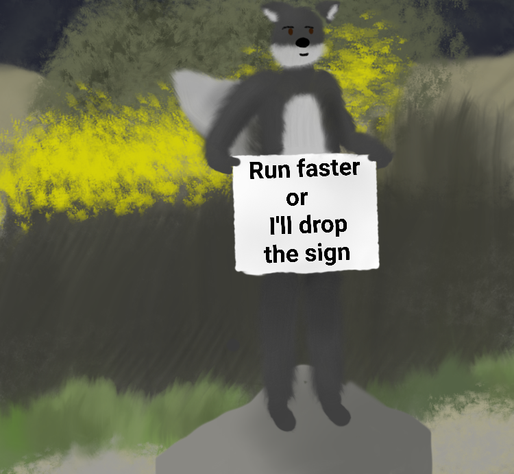 Run or Drop by FoxBudy1