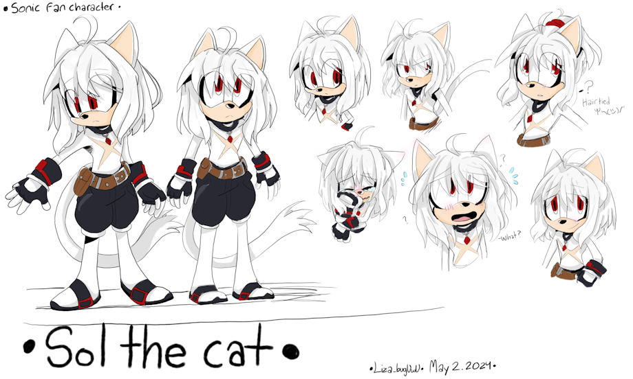 Sol the cat by Lizabunz