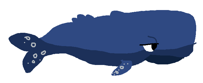 Oh Noah! Animals: Whale (Oh Noah!) by KiffAndFriends