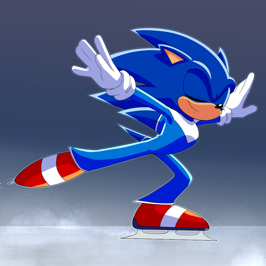 Sonic Skater by HedgeWolf23