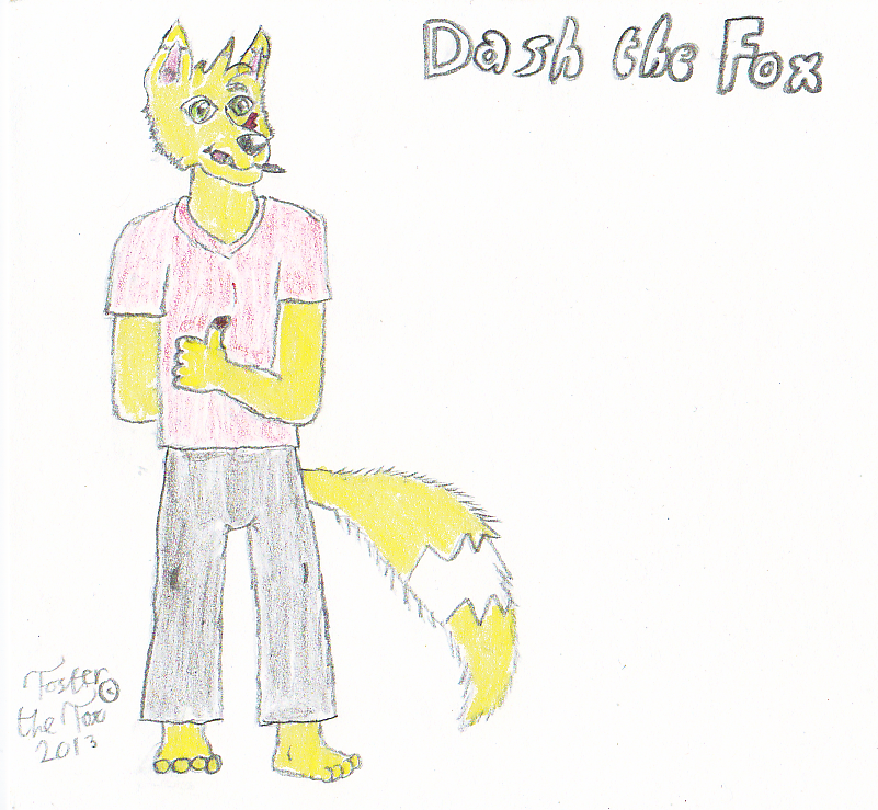 Dash the Fox Ref Sheet by FosterLightdweller