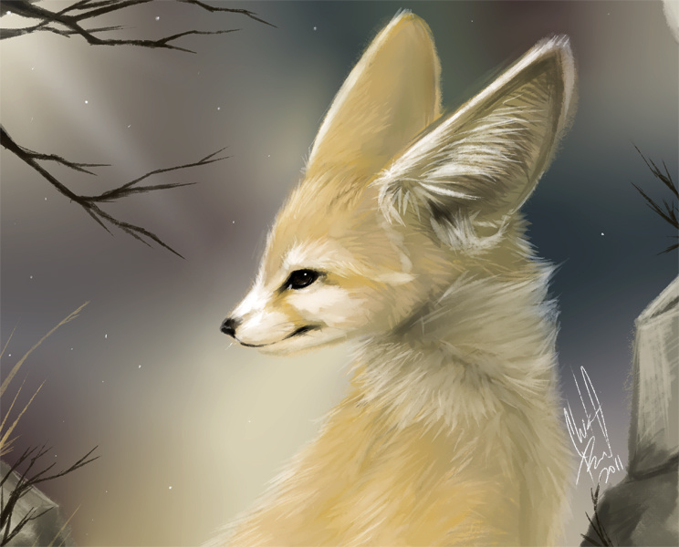 Animal Portrait - Fennec by MissOro