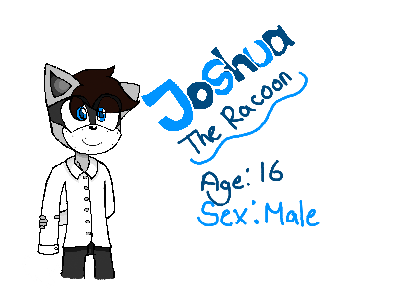 Raccoon Sonic OC by jolliejosh
