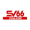 sv66kiwi